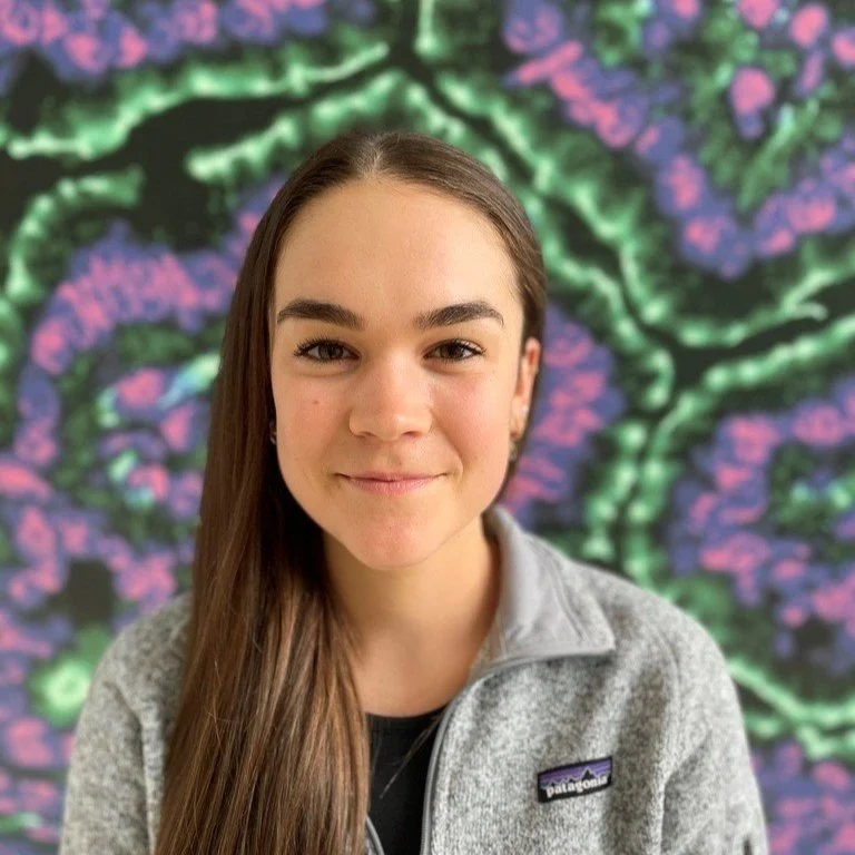 Copy of About Us — Koschmann Lab