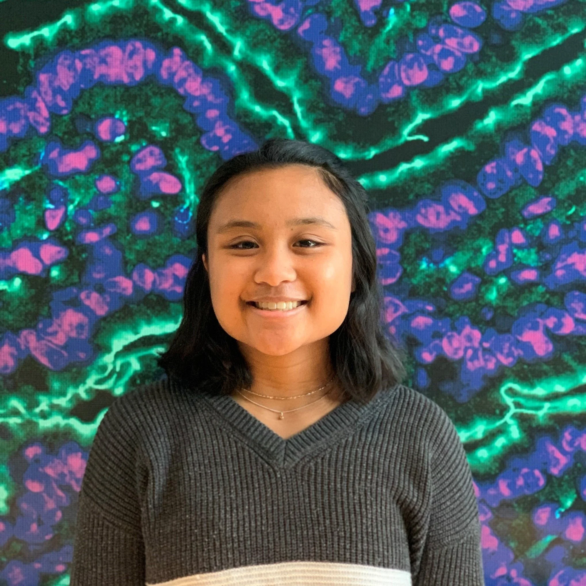 Copy of About Us — Koschmann Lab