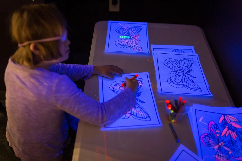 Elli & Levi — Knox DD