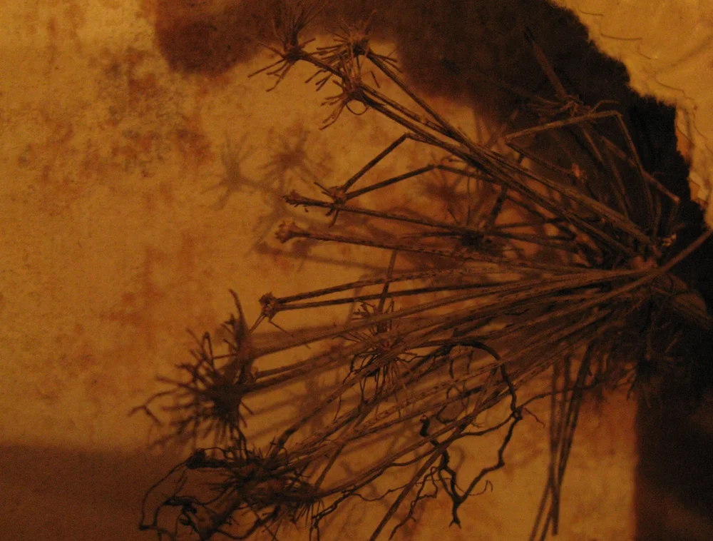 Elizabeth Willow - artist