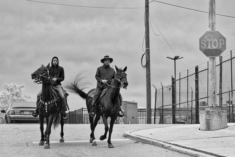 A Baltimore Horse Story — Working Image Photography / Robert Sullivan