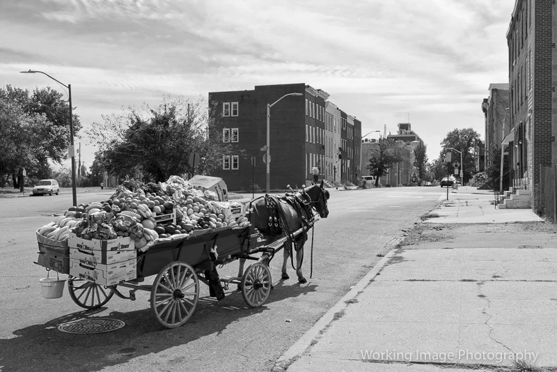 Baltimore's Arabbers, and An Invitation — Working Image Photography ...
