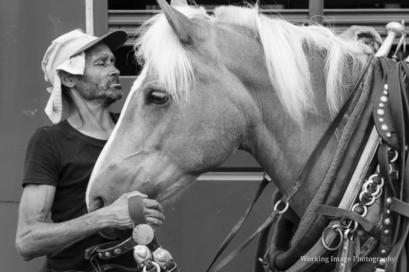 Baltimore's Arabbers, and An Invitation — Working Image Photography ...