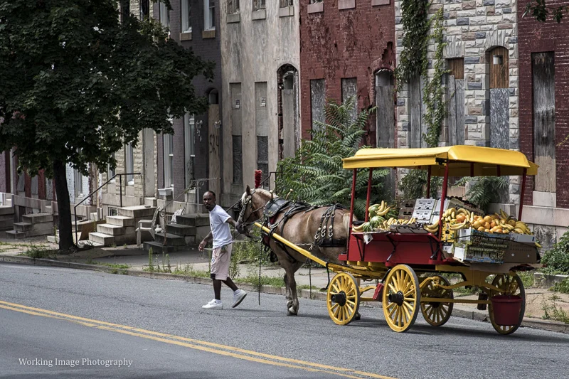 Baltimore's Arabbers, and An Invitation — Robert Sullivan / Working ...