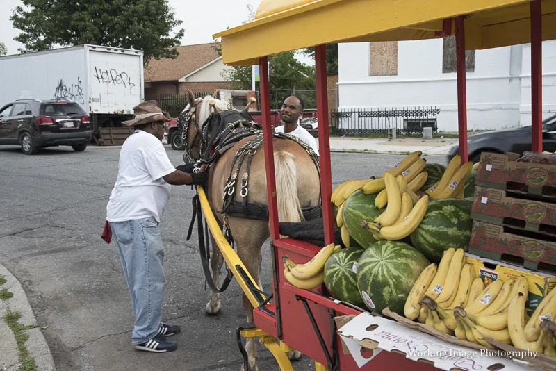Baltimore's Arabbers, and An Invitation — Working Image Photography ...