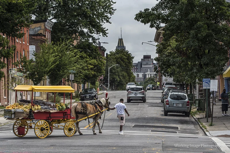 Baltimore's Arabbers, and An Invitation — Working Image Photography ...