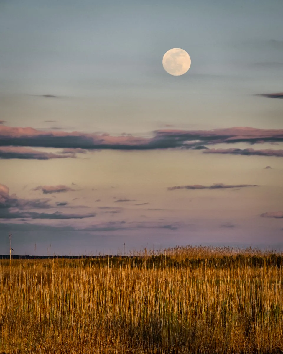 Workshops — Robert Sullivan / Working Image Photography