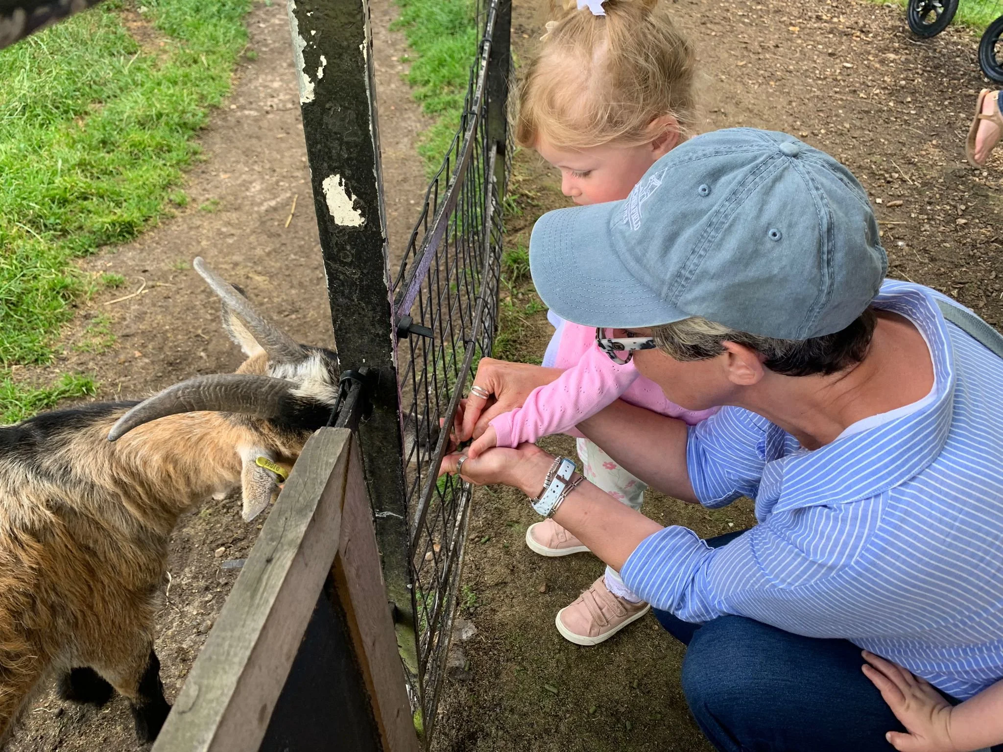 Staunton Farm and Country Park - a great day out for the whole family ...