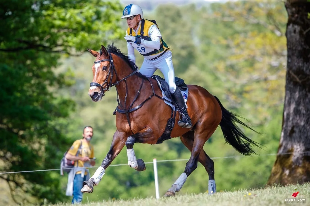 ALOGO MOVE PRO: Data-Driven Performance