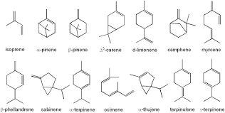 Monoterpenes
