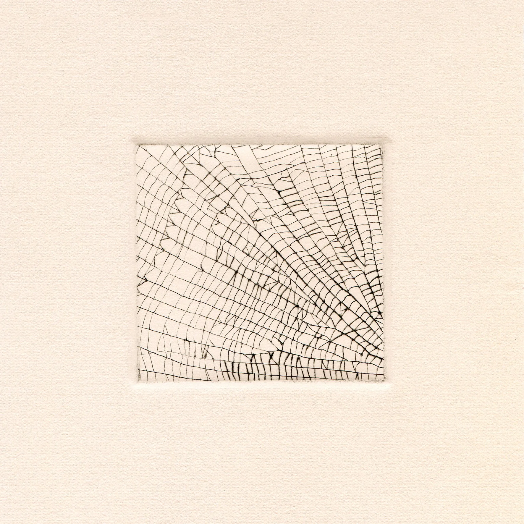 Current work — Jane Eppel