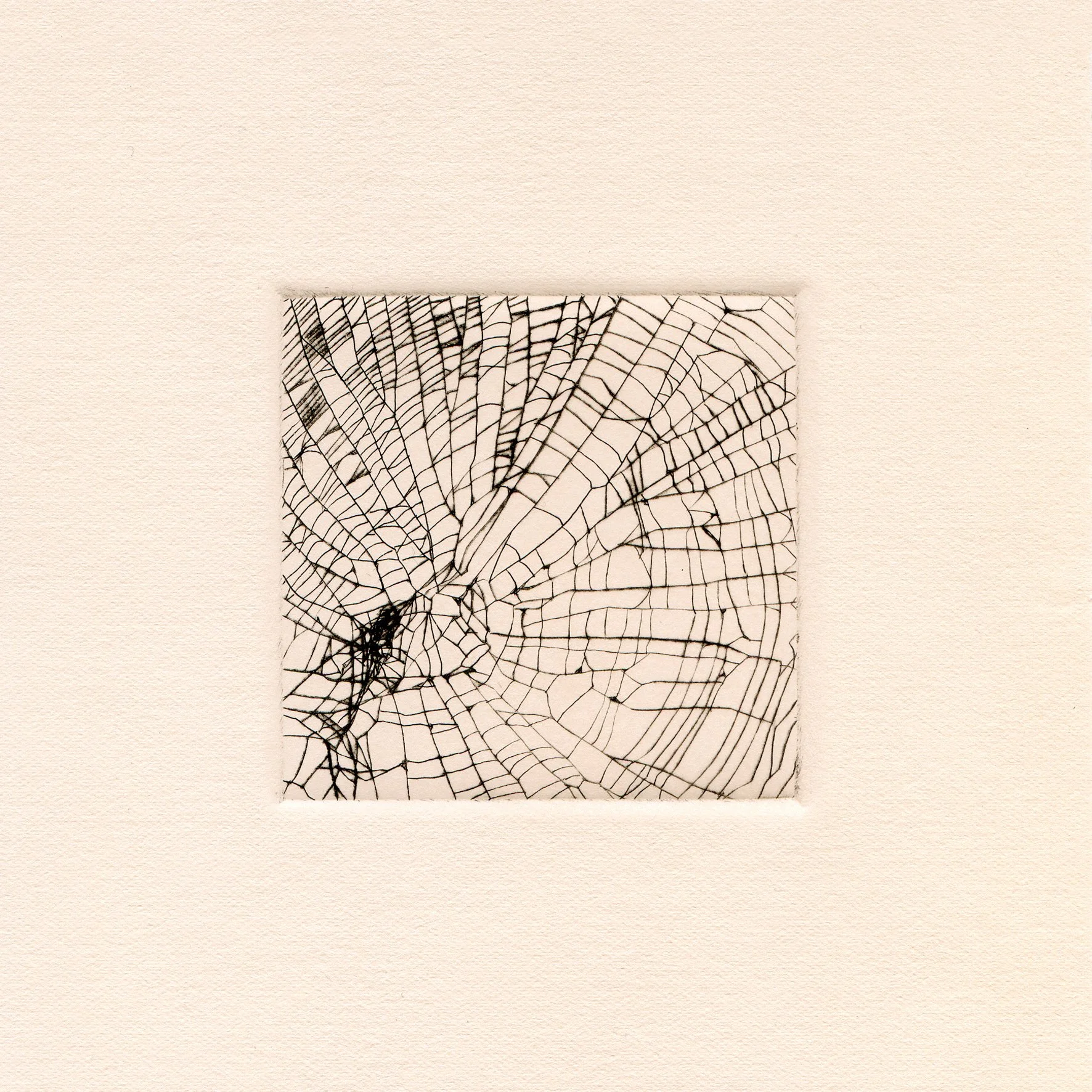 Current work — Jane Eppel