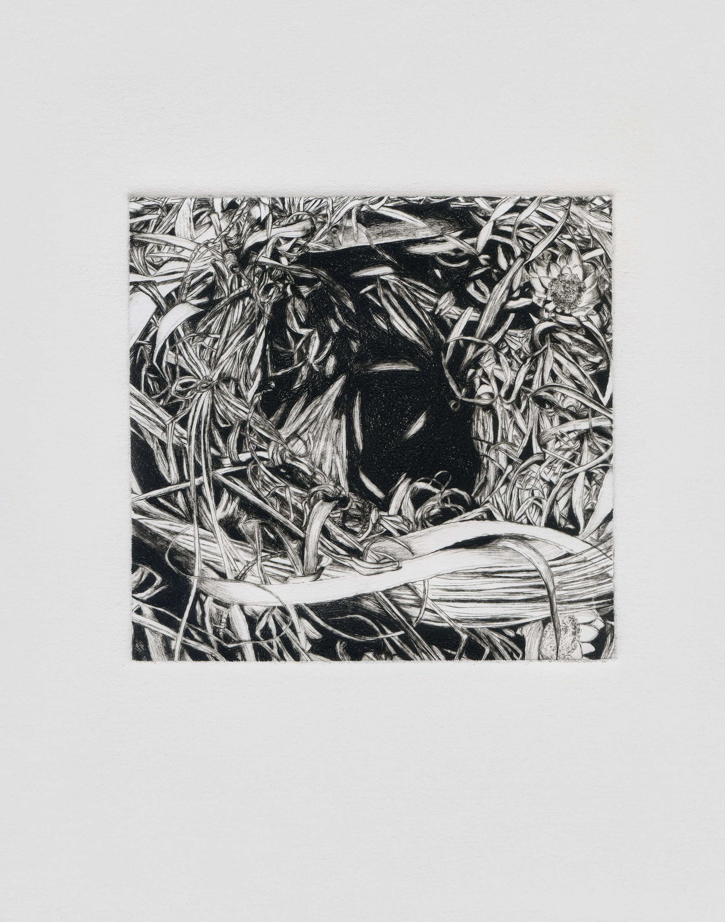 Current work — Jane Eppel