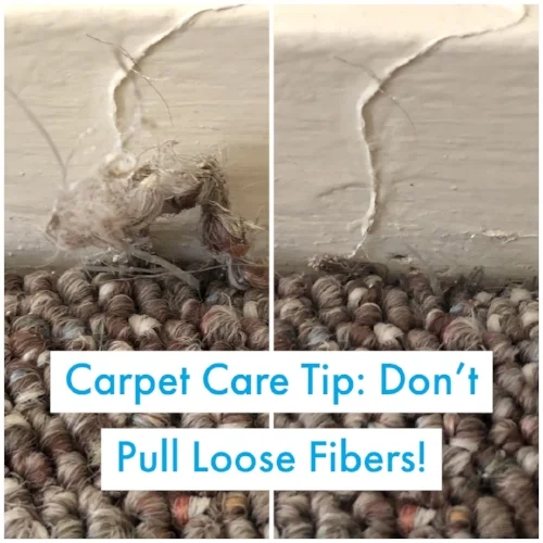 Carpet Care Tip: Don't Pull Loose Fibers! — Pioneer Carpet Cleaners
