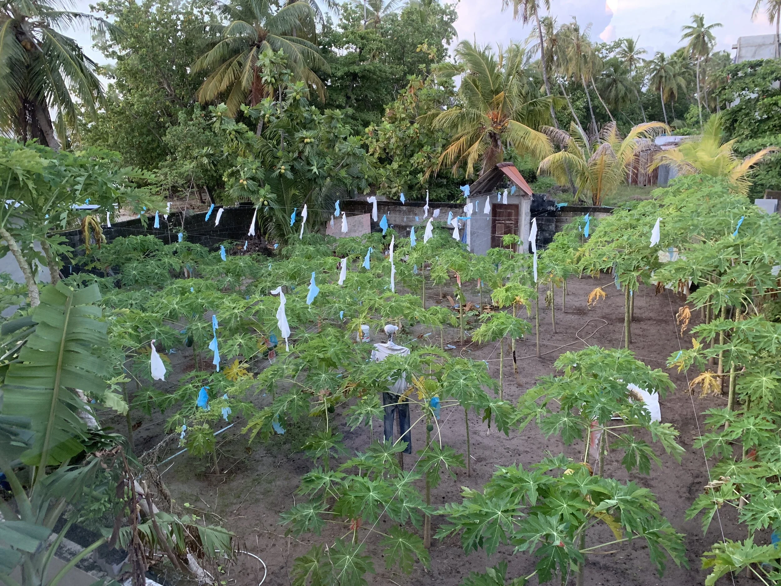 Architectural Ecologies Lab Team Leads Research Trip to the Maldives ...