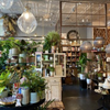 An Interior Design Lover's Guide to Denver — Atelier Interior Design