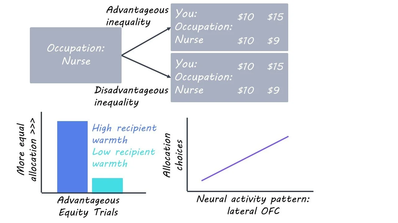 The Lateral Orbitofrontal Cortex Mediates Stereotyping — BrainPost ...