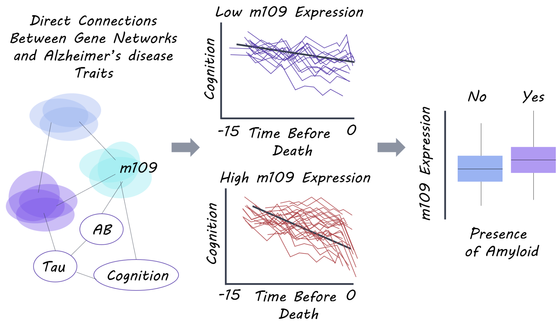 A Molecular Network For Cognitive Decline In The Human Prefrontal