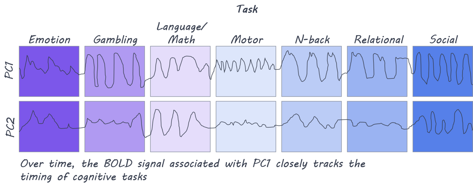 The Brain’s ‘Dynamic Core’ and Human Cognition — BrainPost | Easy-to ...