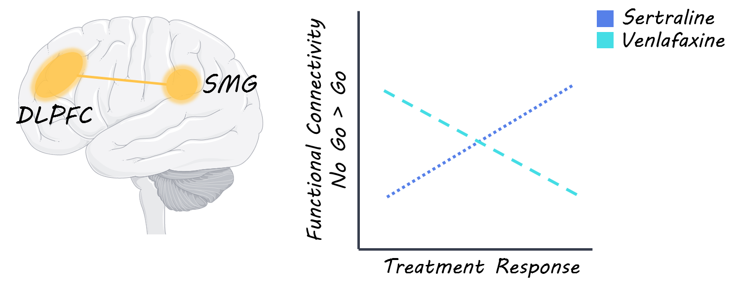 Antidepressant Efficacy Is Linked to Functional Connectivity of Brain ...