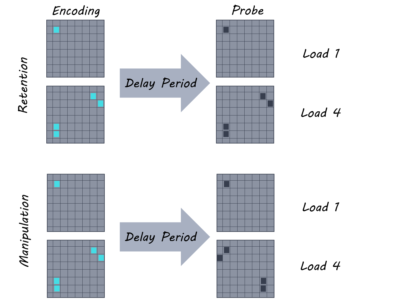 Communication Between Brain Regions During Working Memory — Brainpost Easy To Read Summaries
