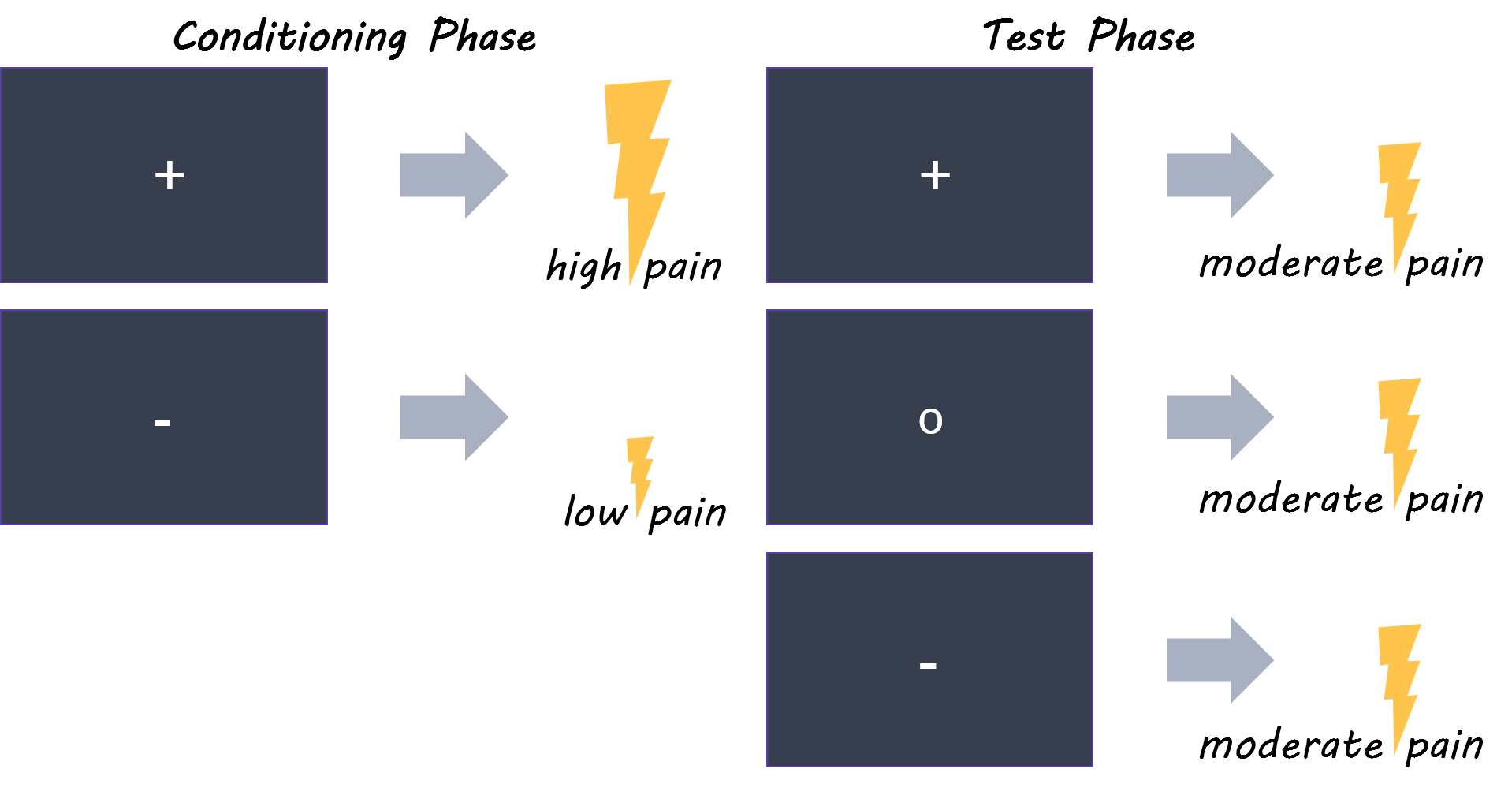The Role of the Brain’s Reward System in Expectation of Pain ...