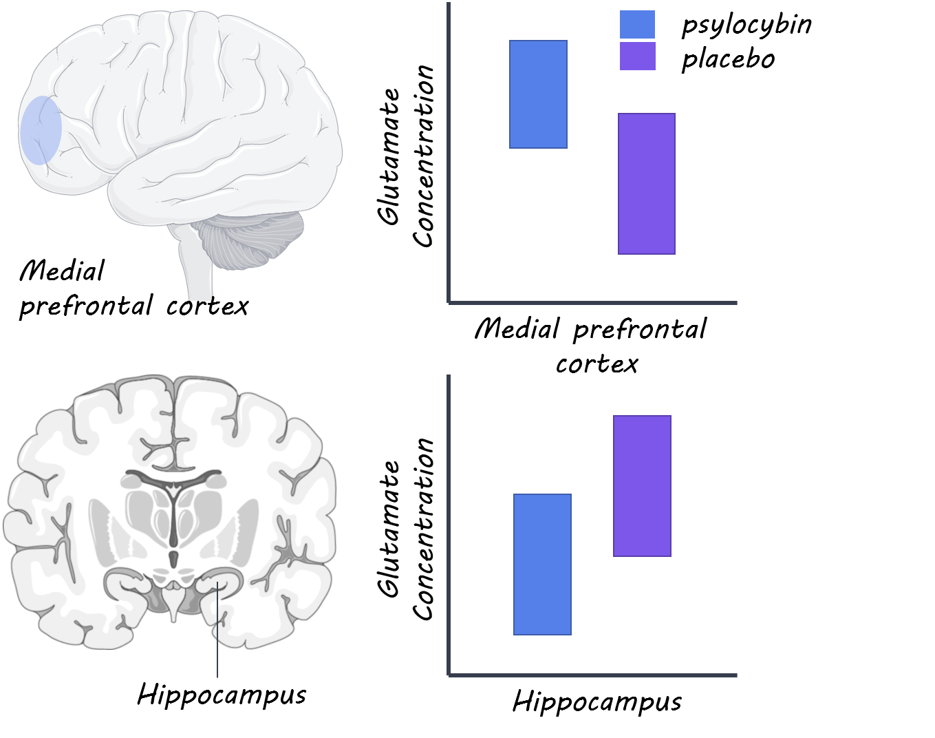 Glutamate And Psychedelic Induced Positive Vs Negative Ego Dissolution Experiences BrainPost glutamate-and-psychedelic-induced-positive-vs-negative-ego-dissolution-experiences-brainpost