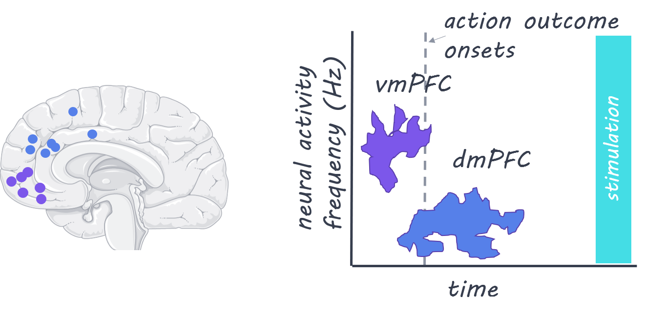 Ventromedial Prefrontal Cortex