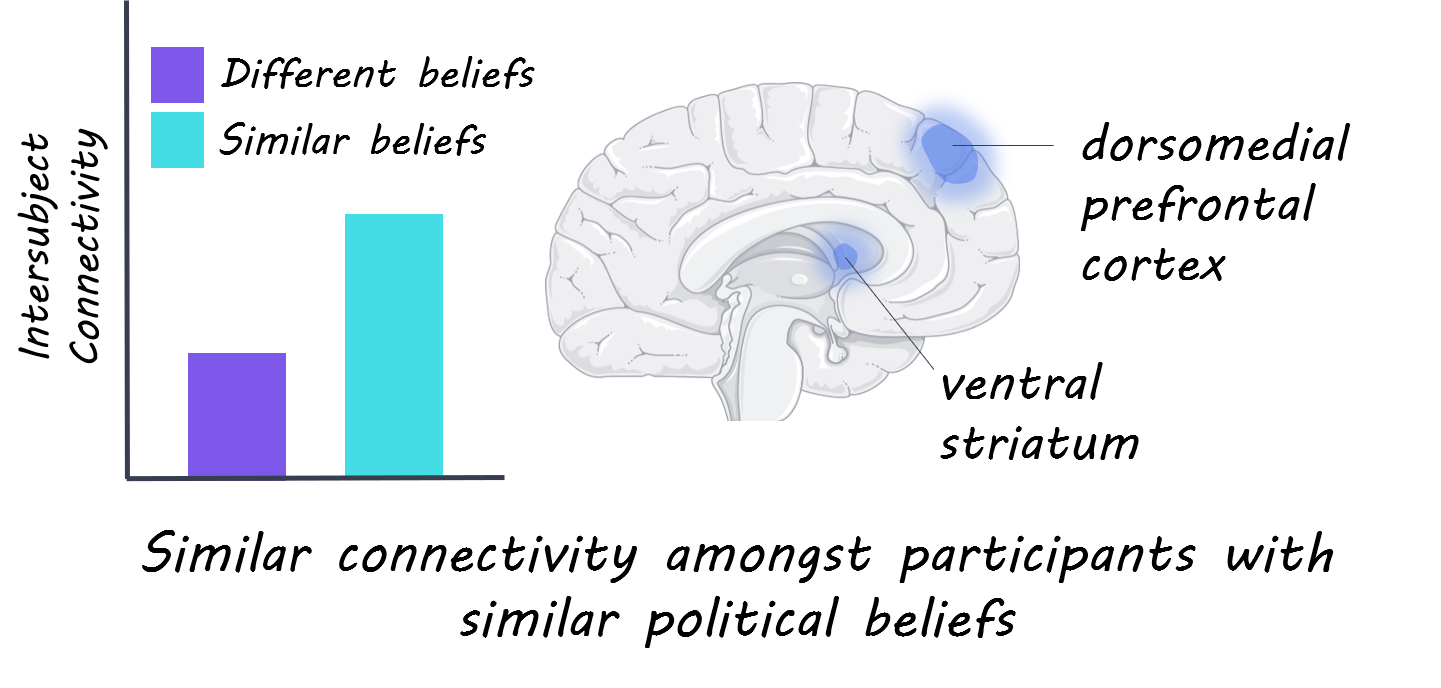 Political Views Bias Information Processing in the Brain — BrainPost ...