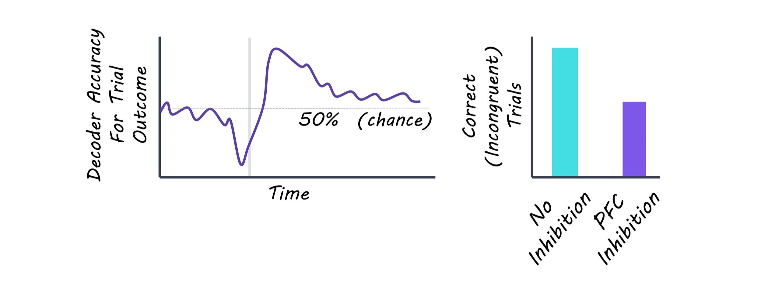 Deep Projection Neurons in the Prefrontal Cortex Enable Cognitive ...