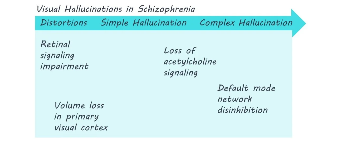 Schizophrenia Visual Hallucinations