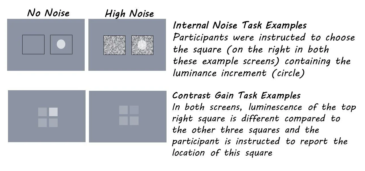 “Visual Snow” and its Possible Origins — BrainPost | Easy-to-read ...