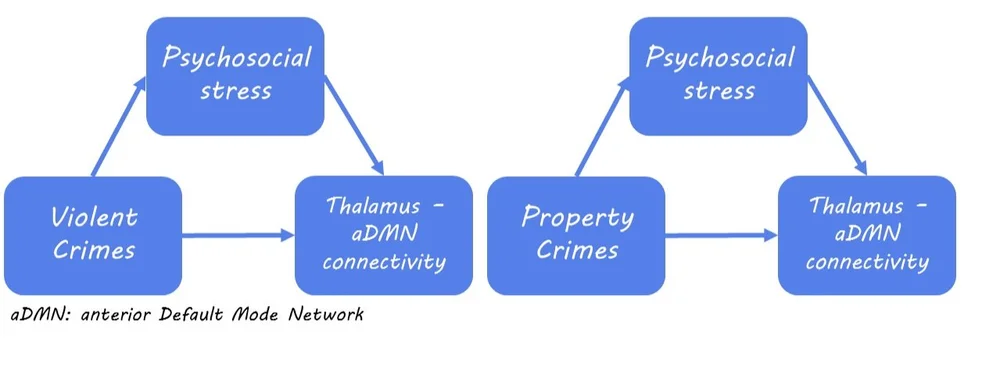 The Effects of Living in High Crime Neighborhoods on Neonatal Brain Function — BrainPost | Easy ...