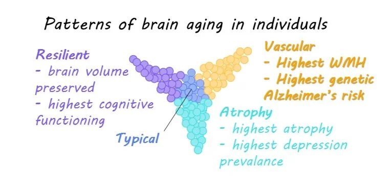 Identifying Aging Subtypes with Machine Learning — BrainPost | Easy-to ...