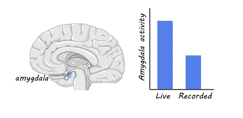 How Listening to Live and Pre-Recorded Music Changes Brain Activity ...