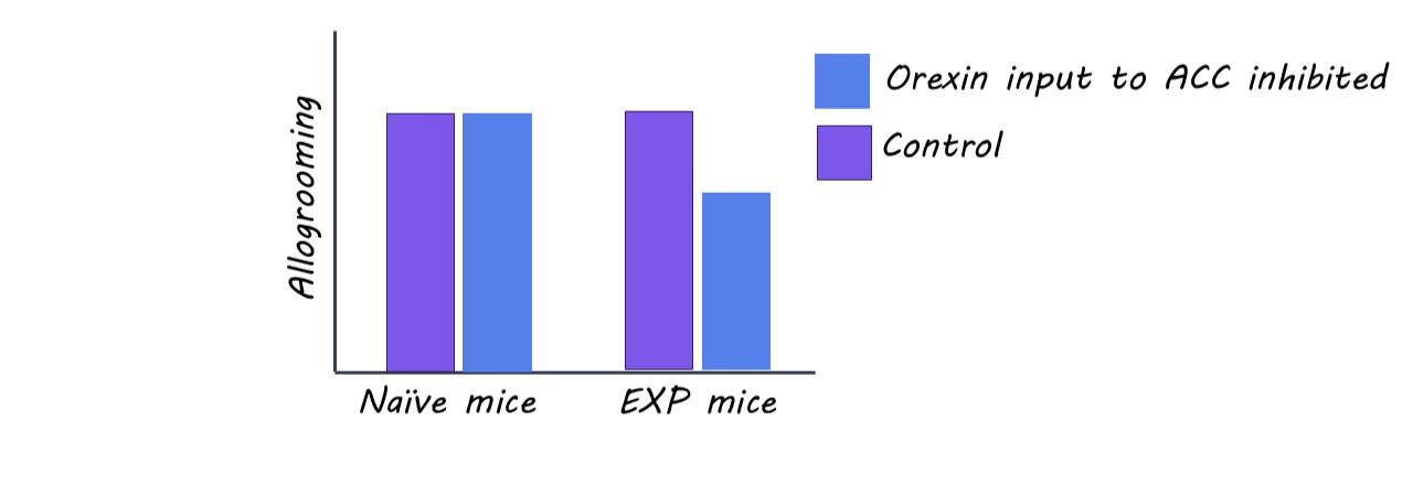 Brain Rhythms Translate Empathy Into Prosocial Behavior — BrainPost ...
