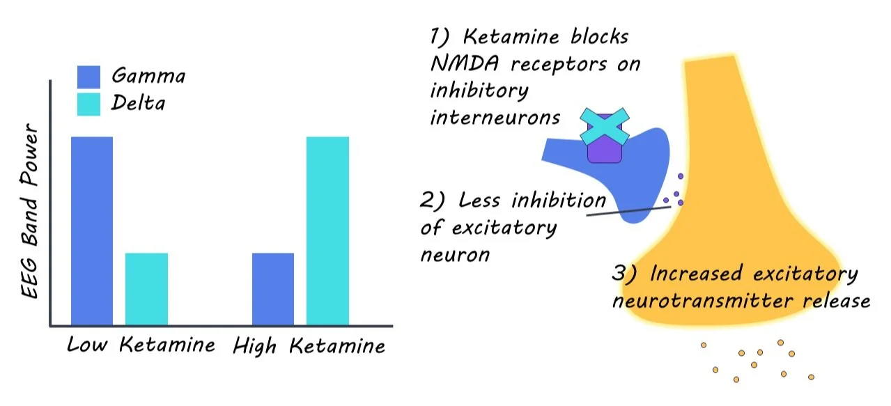 Modeling the Dose-Dependent Effects of Ketamine — BrainPost | Easy-to ...