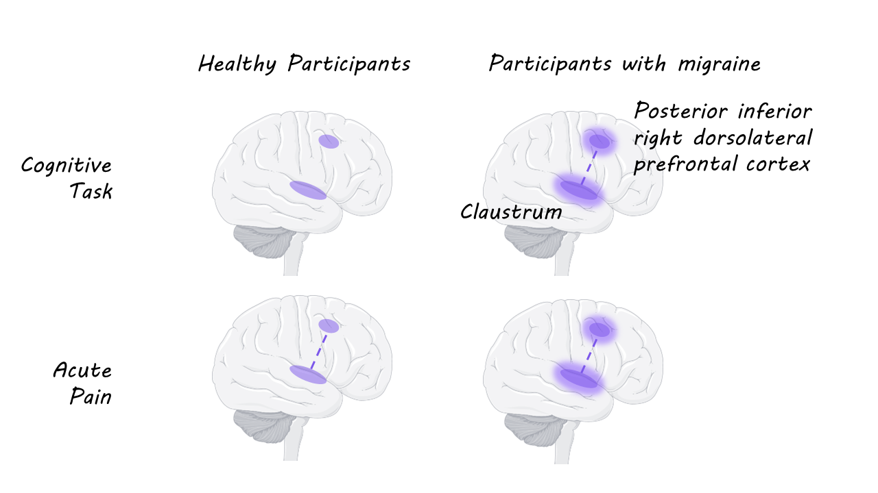 Cognitive Network Processing in Chronic Pain — BrainPost | Easy-to-read ...