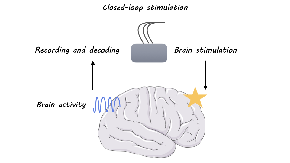 Closed-Loop Brain Stimulation Reduces Fear Responses — BrainPost | Easy-to-read summaries of the ...