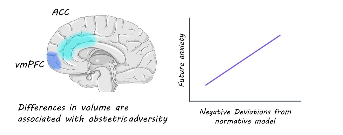 Predicting How Adversity Changes the Brain — BrainPost | Easy-to-read ...