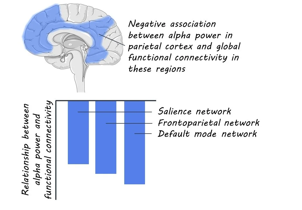 Impact of DMT on Brain Function and Connectivity — BrainPost | Easy-to-read summaries of the ...
