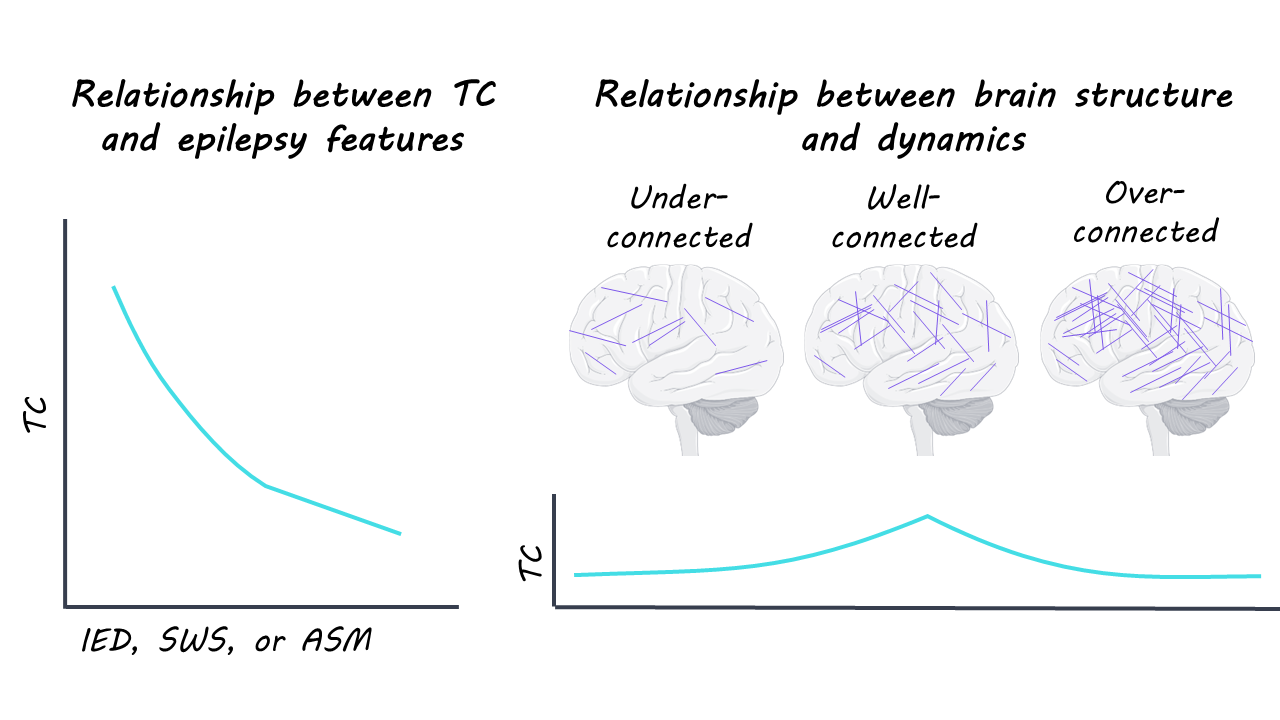 How Do Brain Dynamics Affect Cognitive Performance? — BrainPost | Easy-to-read summaries of the ...