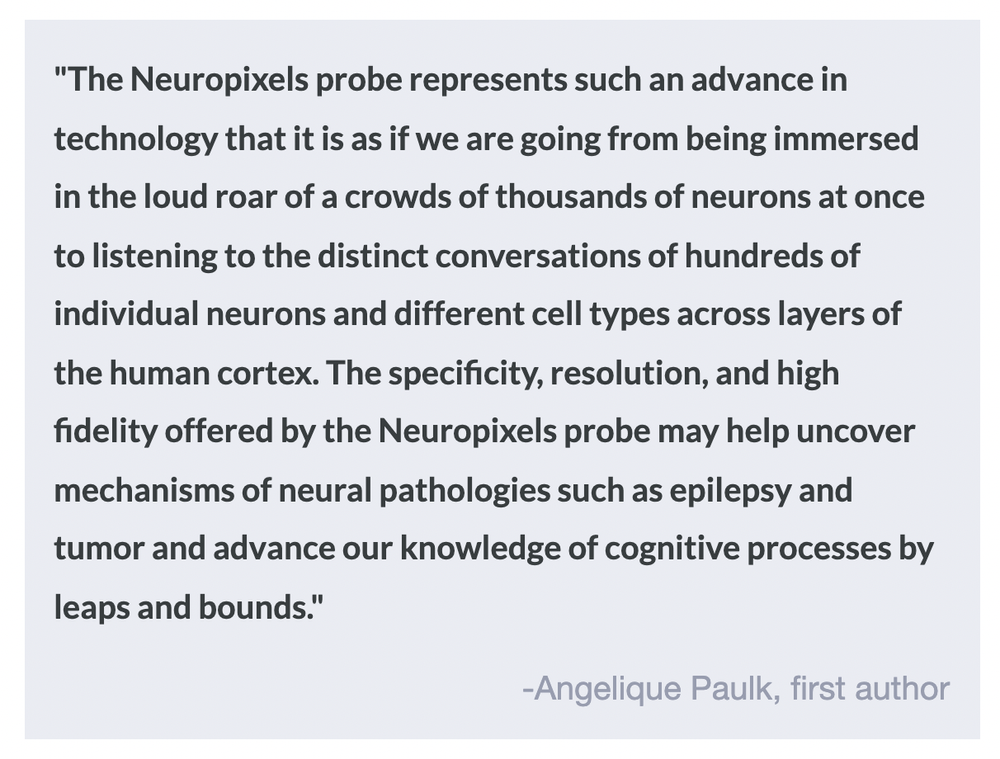 The Use of Neuropixels Probes in Humans — BrainPost | Easy-to-read ...