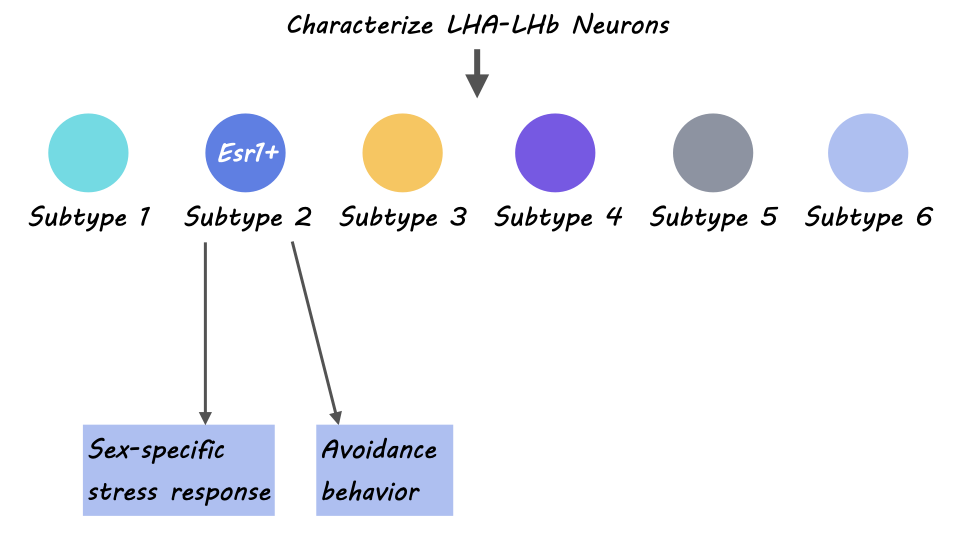 A Novel Subtype of Hypothalamic-Habenula Neurons Drives Aversive ...