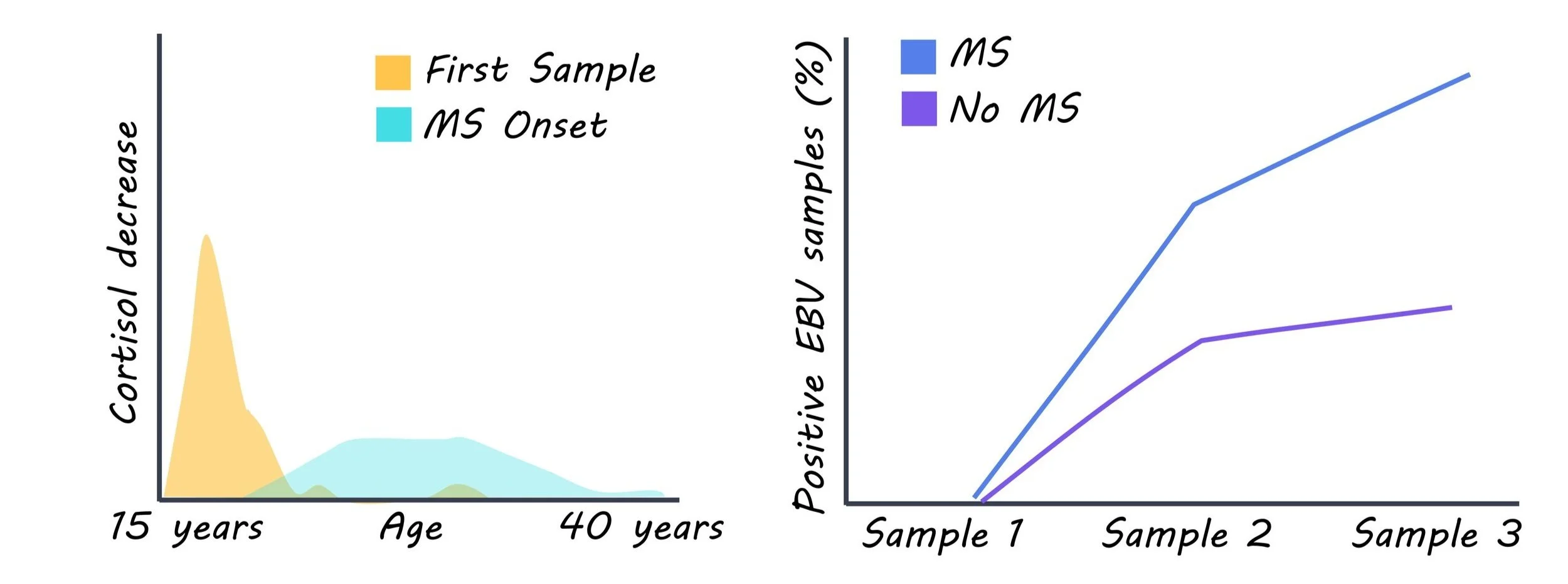 A Causal Link Between Epstein-Barr Virus and Multiple Sclerosis ...