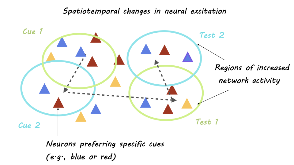 Spatial Computing As An Explanation For Working Memory Control