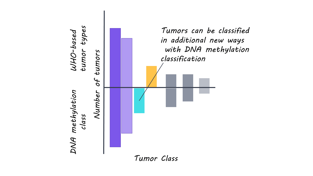 Improving the Diagnosis of Pediatric CNS Tumors — BrainPost | Easy-to ...