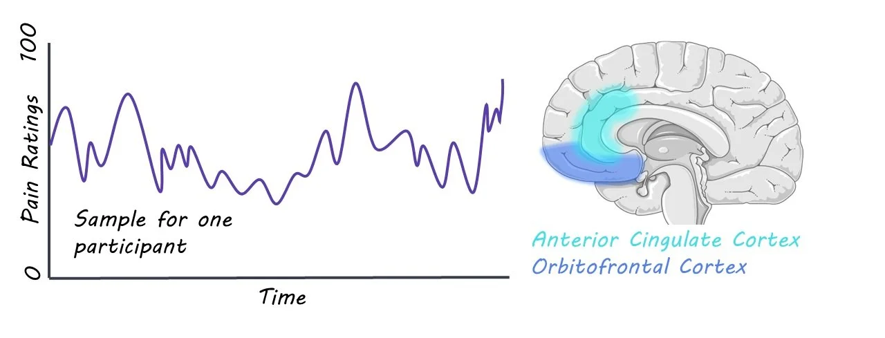 Predicting Chronic Pain States in Humans — BrainPost | Easy-to-read ...