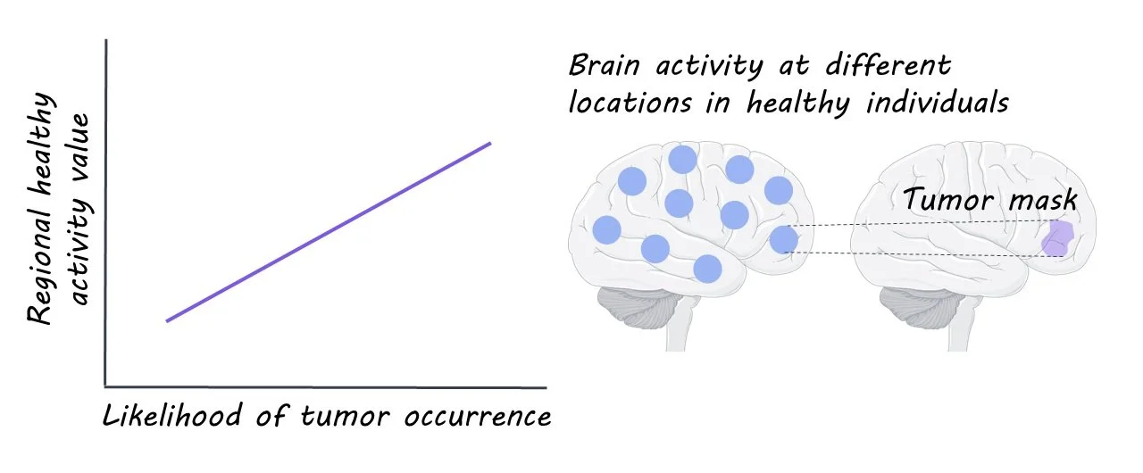 Intrinsic Brain Activity Is Associated With The Development And