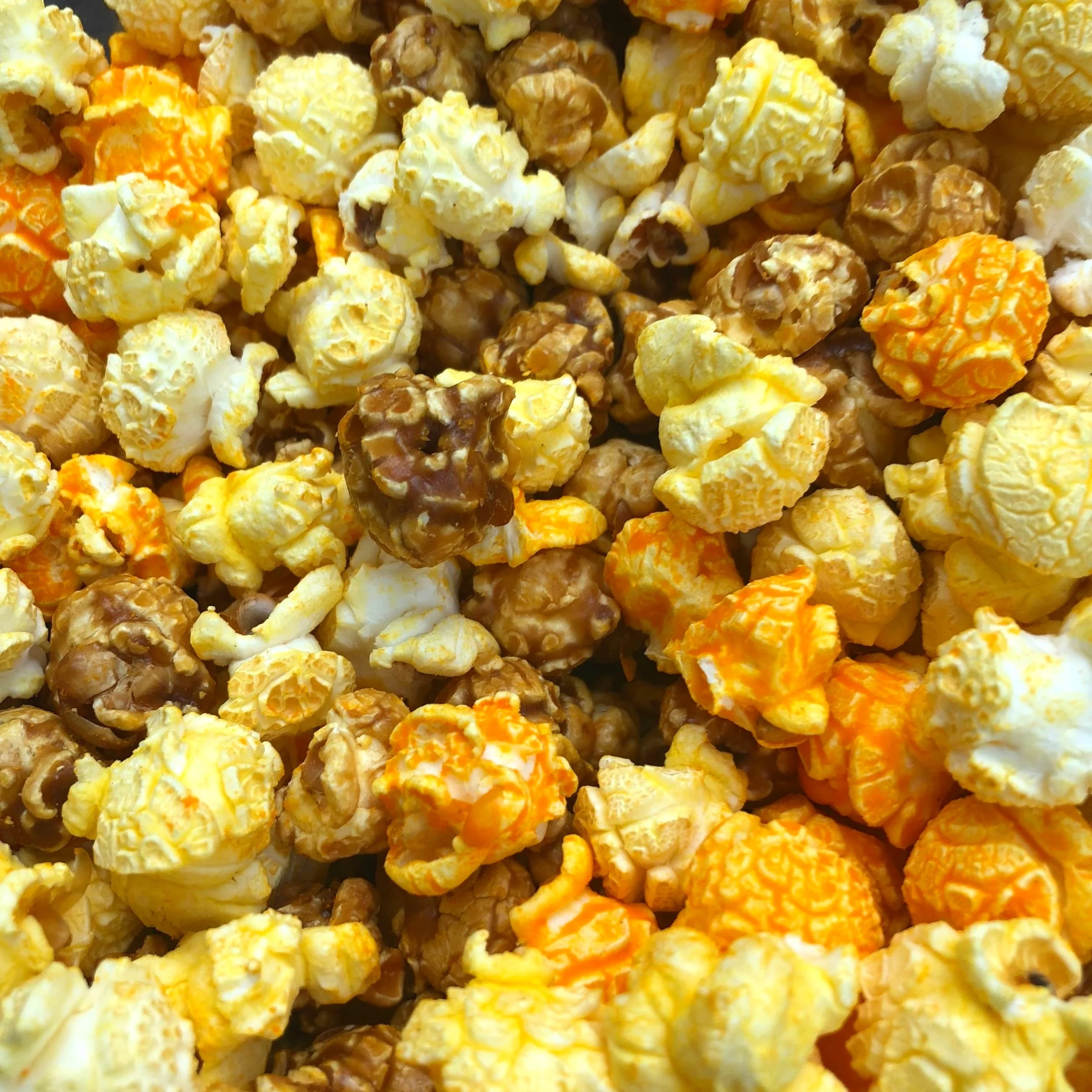 Carroll's Corn Gourmet Popcorn